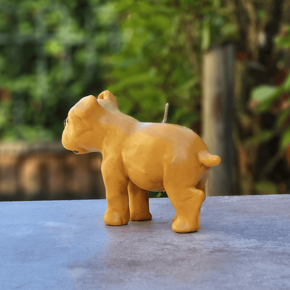 Orange Bulldog Decorative Dog Candle, A Gift for the Dog Lovers in Your ...