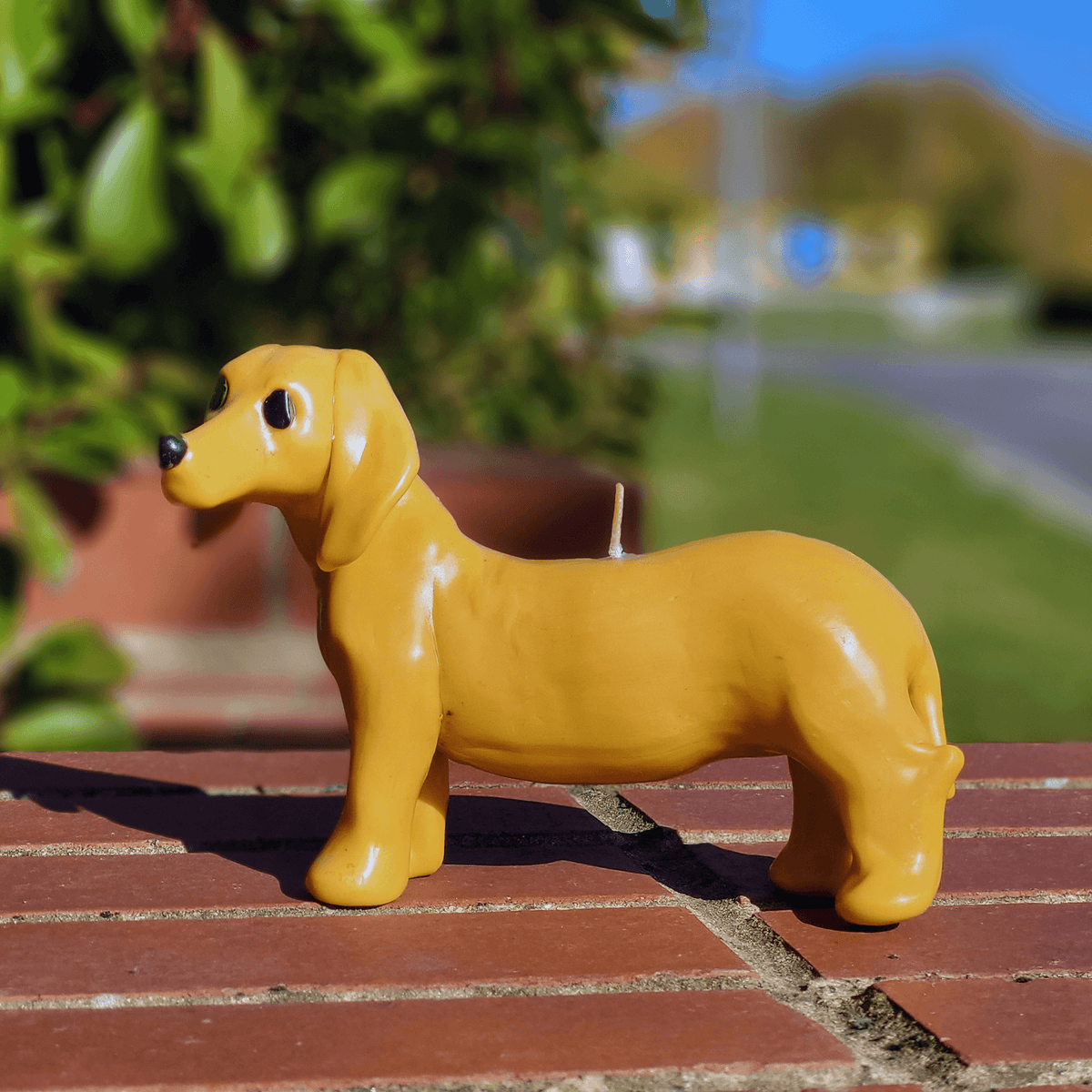 Best Sausage Dog Decorative Candle for an Adorable Home